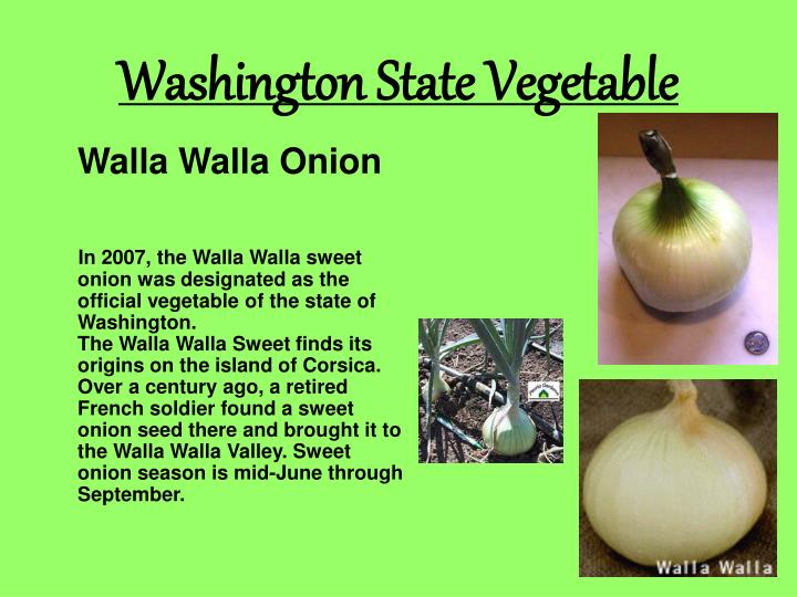 PPT - Washington State Facts and Symbols PowerPoint Presentation - ID ...