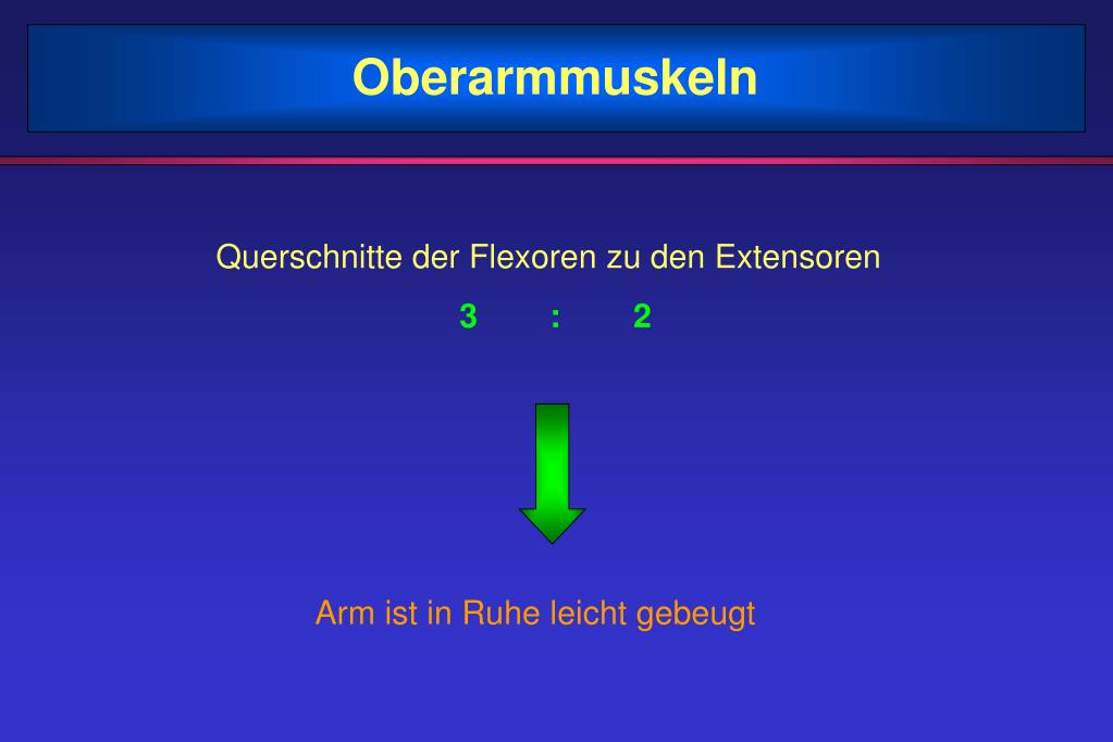PPT - Hautinnervation des Oberarms PowerPoint Presentation, free ...