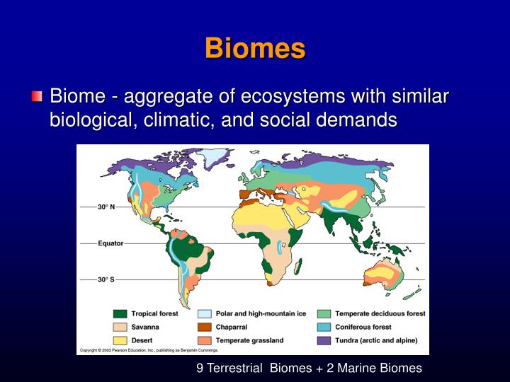 PPT - Global Environmental Issues PowerPoint Presentation - ID:1474912