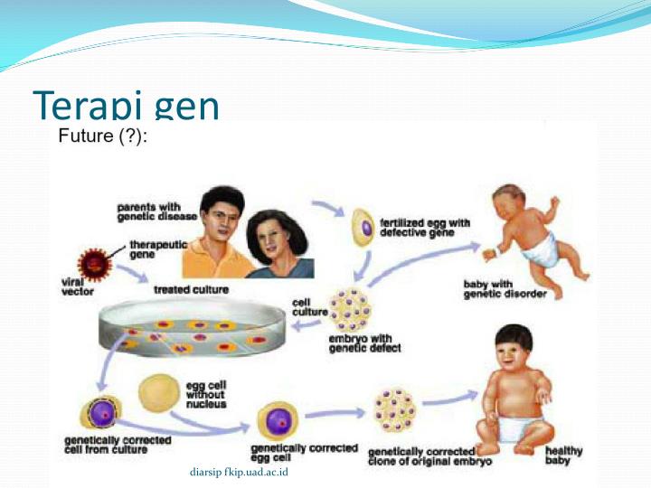 PPT - BIOTEKNOLOGI MODERN PowerPoint Presentation - ID:1475166