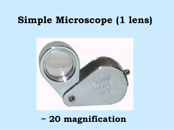 PPT - Simple Microscope (1 lens) PowerPoint Presentation, free download ...