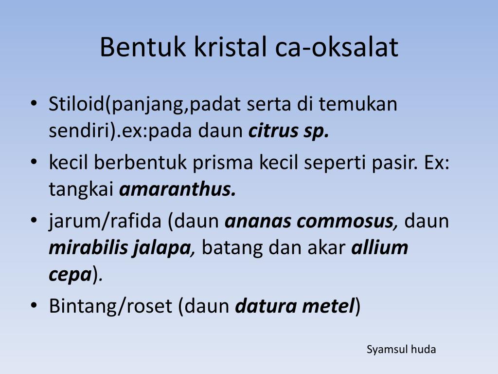 PPT - Praktikum II Inklusi sel ( zat ergastik) PowerPoint Presentation ...
