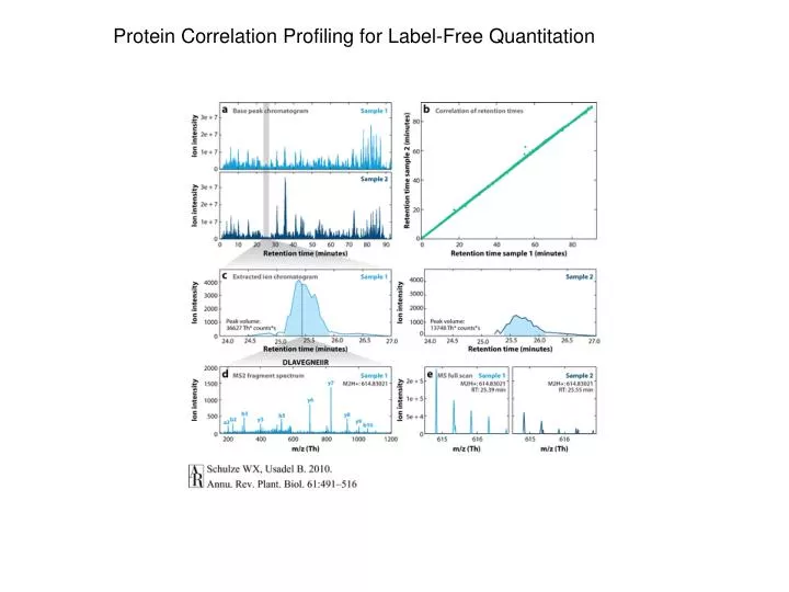 PPT - Protein Correlation Profiling for Label-Free Quantitation ...