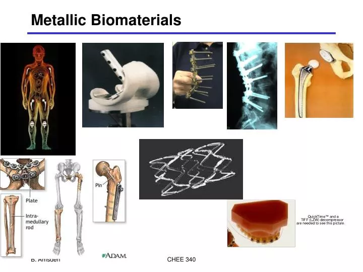 PPT - Metallic Biomaterials PowerPoint Presentation, free download - ID ...