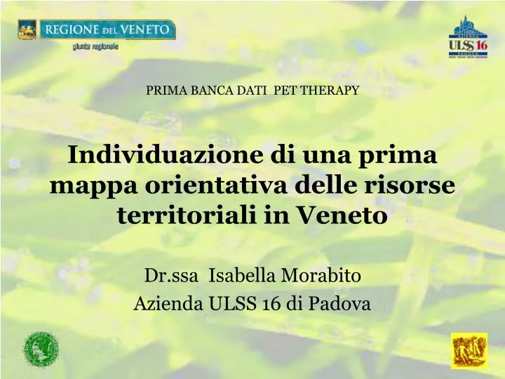 PPT - Individuazione di una prima mappa orientativa delle risorse ... PPT - Individuazione di una prima mappa orientativa delle risorse ...