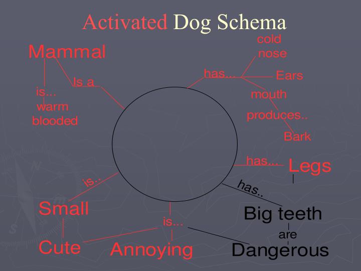 PPT - What is Cognition? PowerPoint Presentation - ID:1481703