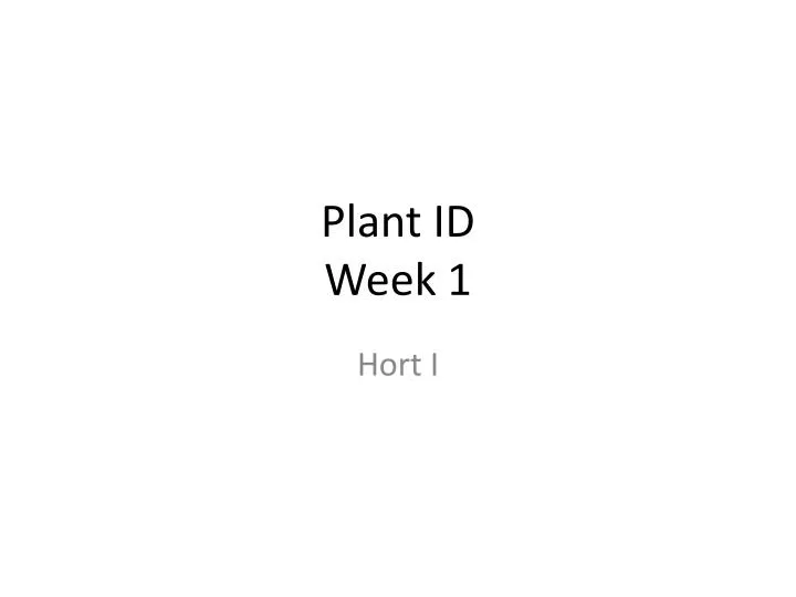 PPT - Plant ID Week 1 PowerPoint Presentation, free download - ID:1482243
