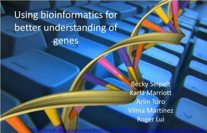 PPT - Using bioinformatics for better understanding of genes PowerPoint ...
