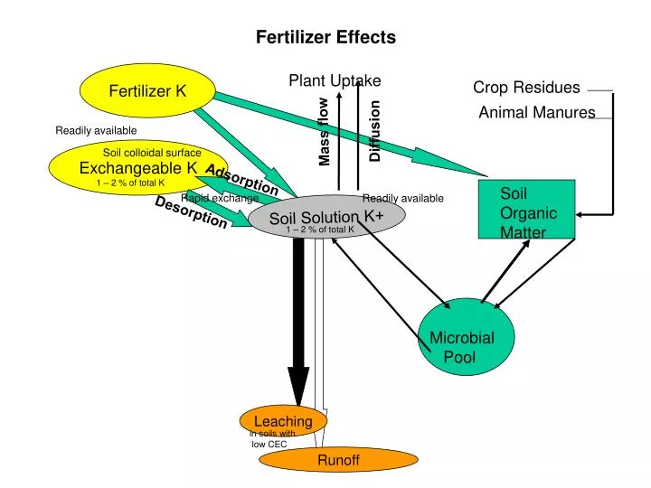 PPT - Exchangeable K PowerPoint Presentation, free download - ID:1483360