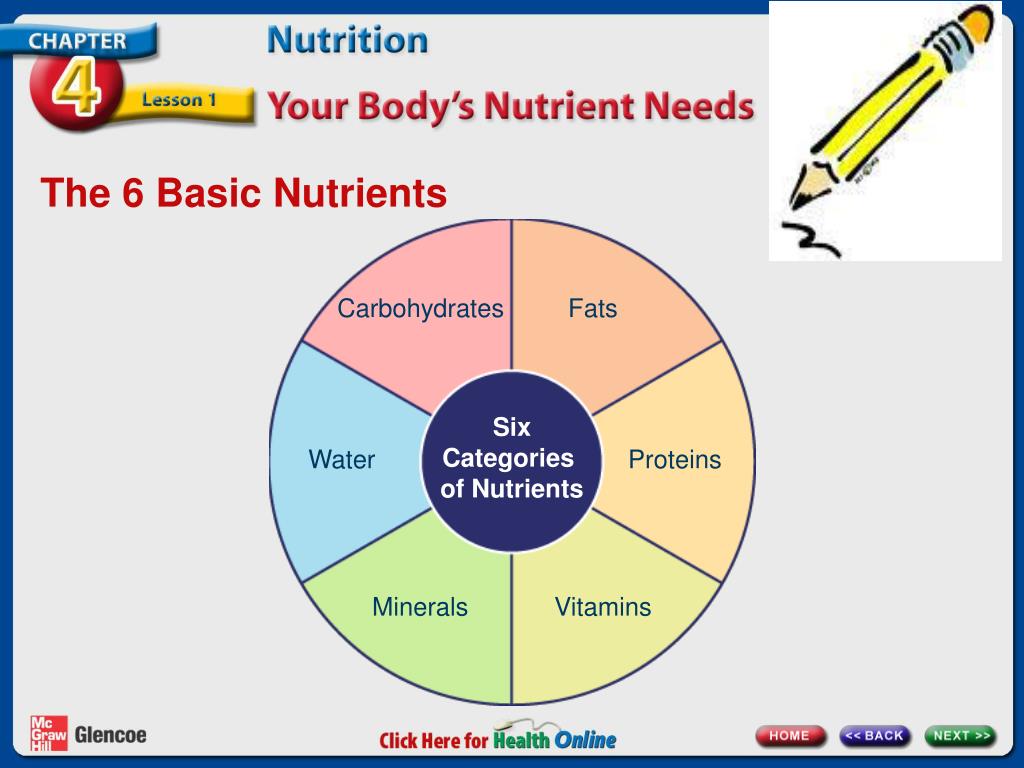 Ppt Chapter 4 Nutrition Powerpoint Presentation Free Download Id