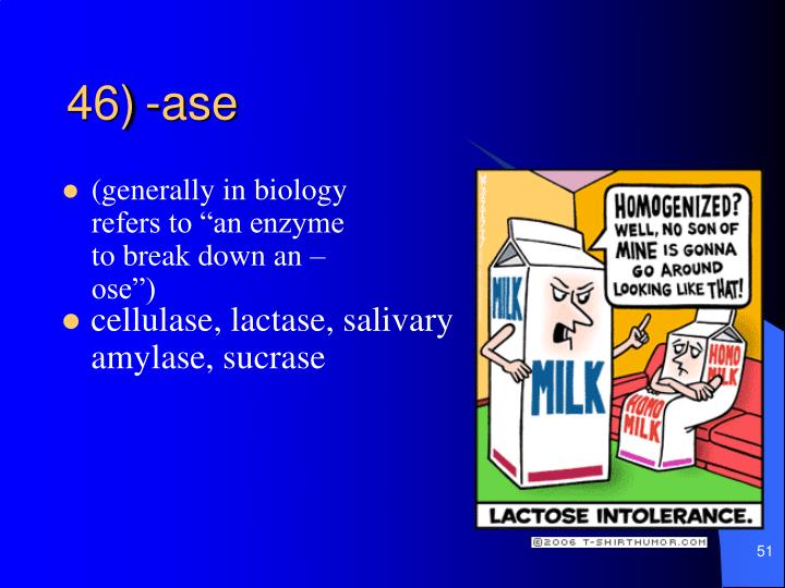 PPT - Latin and Greek in Biology PowerPoint Presentation - ID:1483578