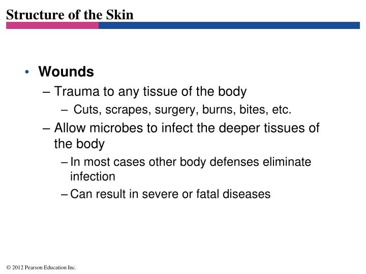 PPT - Chapter 19 PowerPoint Presentation - ID:1484021