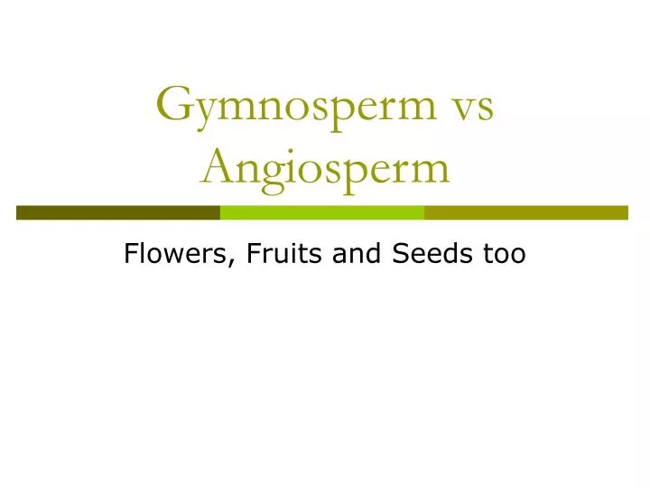 PPT - Gymnosperm vs Angiosperm PowerPoint Presentation, free download ...