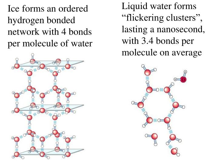 PPT - Chapter 4 Water PowerPoint Presentation - ID:1484391