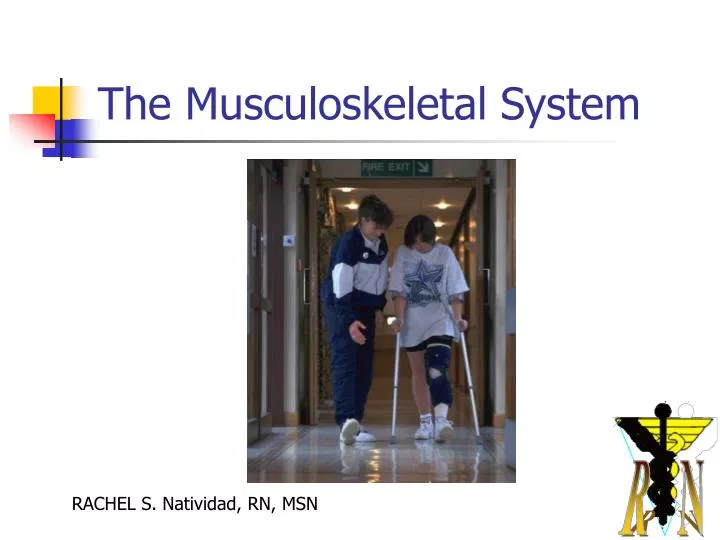 PPT - The Musculoskeletal System PowerPoint Presentation, free download ...