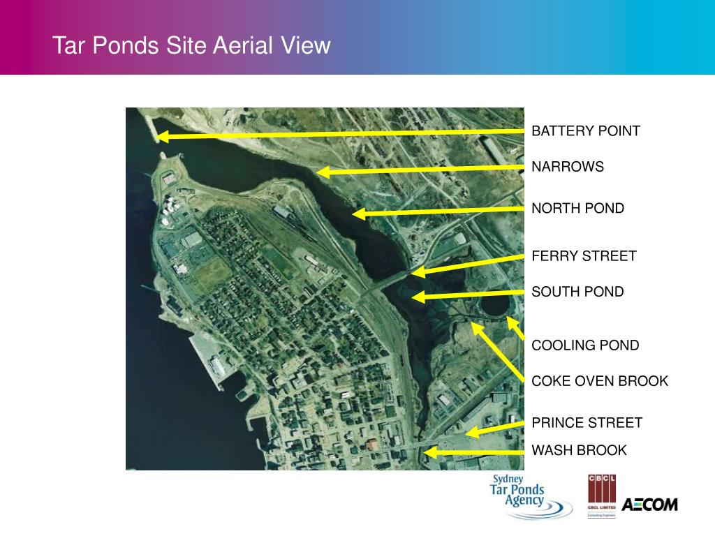 PPT - Remediation of the Sydney Tar Ponds Surface Cap PowerPoint ...