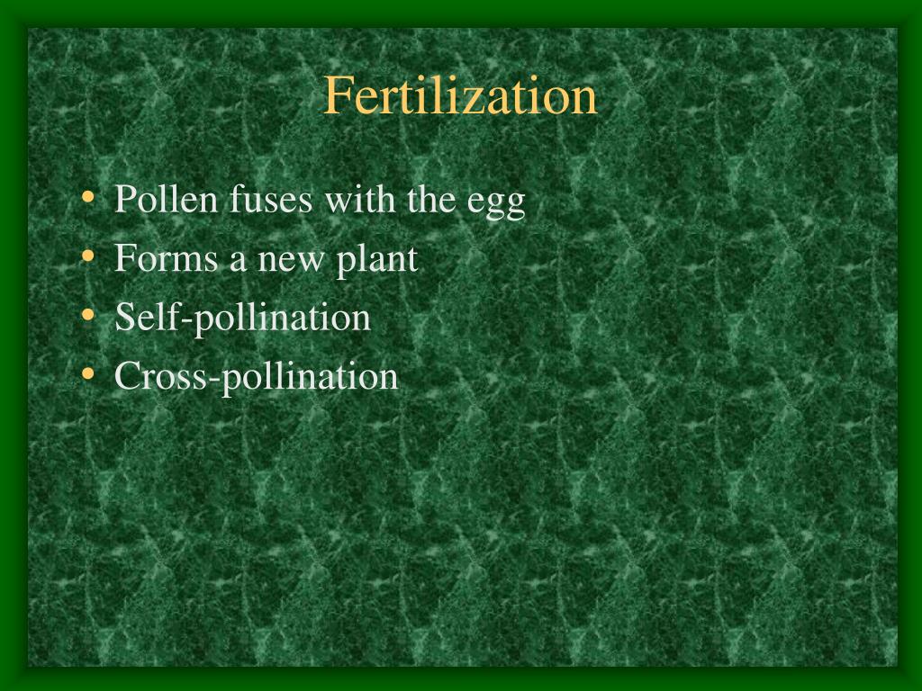 PPT - Parts of a Flower and Their Functions PowerPoint Presentation ...