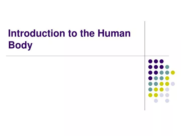 Ppt Introduction To The Human Body Powerpoint Presentation Free