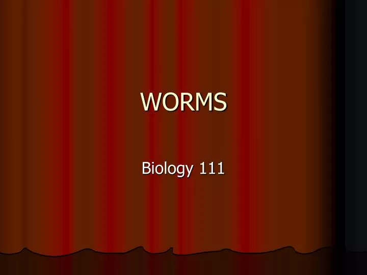 PPT - WORMS PowerPoint Presentation, free download - ID:1486957