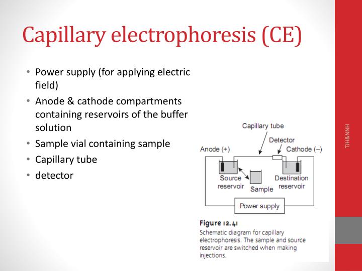 PPT - Electrophoresis and Electrochromatography PowerPoint Presentation ...