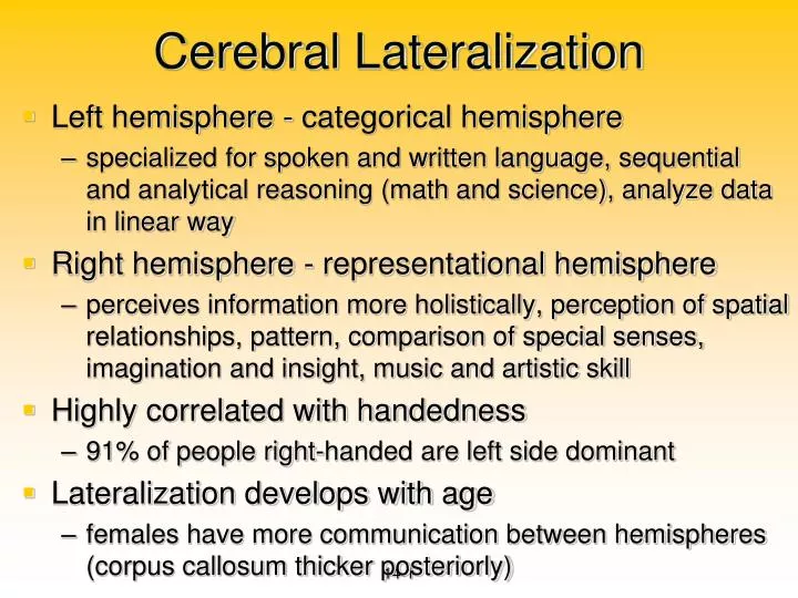 PPT - Cerebral Lateralization PowerPoint Presentation, free download ...