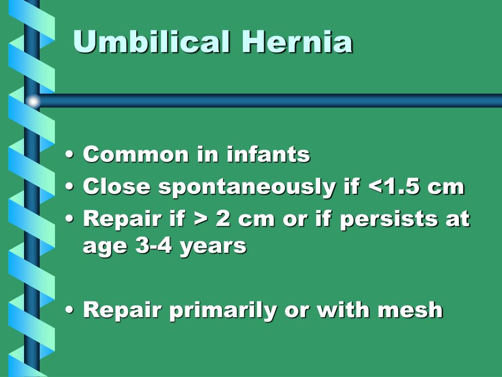 Pdf Topic Abdominal Wall Hernia Umbilical Hernia Choice Of Hot Sex Picture