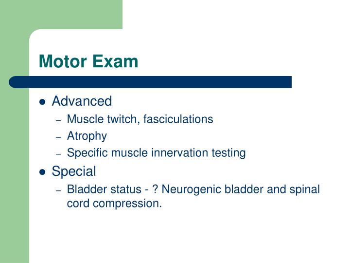 PPT - The ER Neurological Exam PowerPoint Presentation - ID:1487664