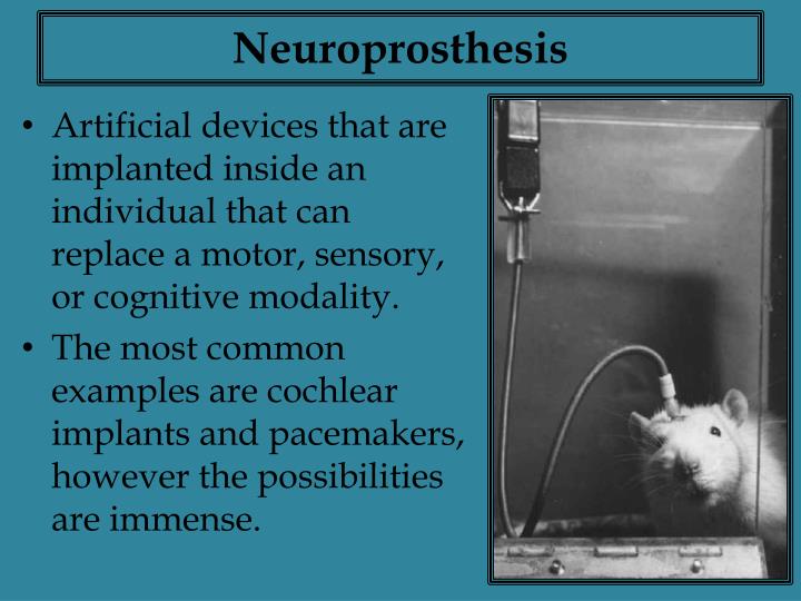PPT - Neuroethics PowerPoint Presentation - ID:1487732