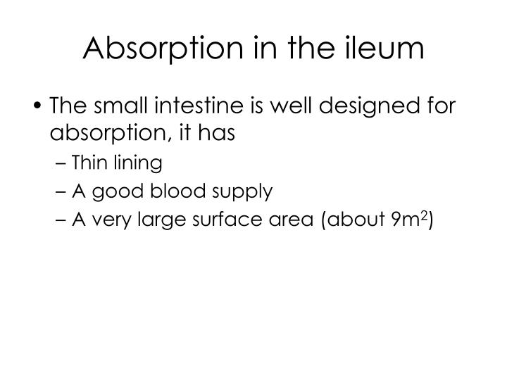 PPT - Human Nutrition PowerPoint Presentation - ID:1487816