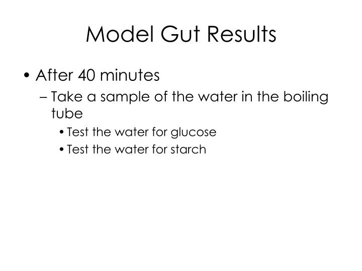PPT - Human Nutrition PowerPoint Presentation - ID:1487816