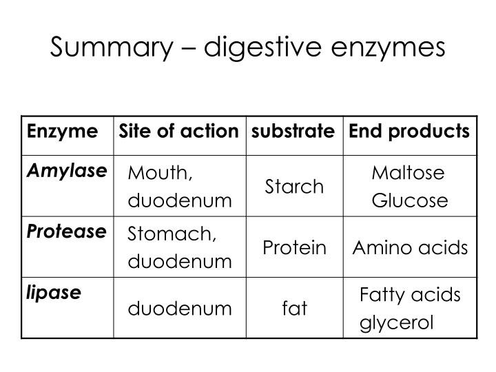 PPT - Human Nutrition PowerPoint Presentation - ID:1487816