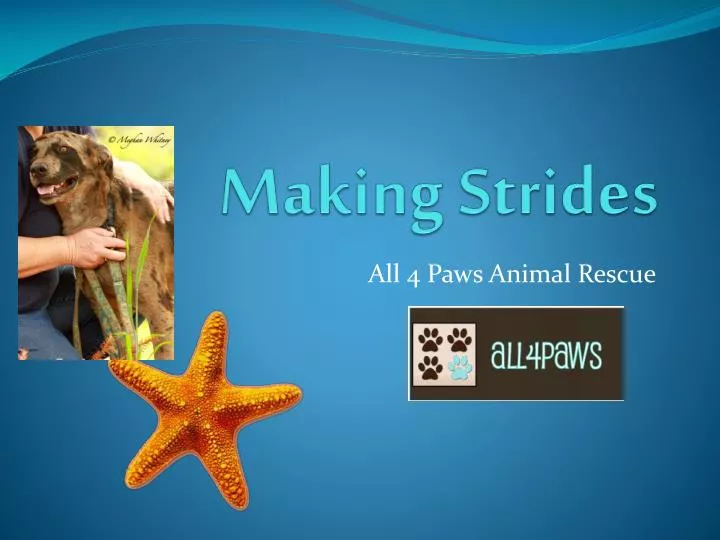 PPT - Making Strides PowerPoint Presentation, free download - ID:1487981