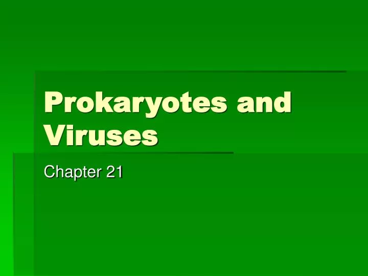 PPT - Prokaryotes and Viruses PowerPoint Presentation, free download ...