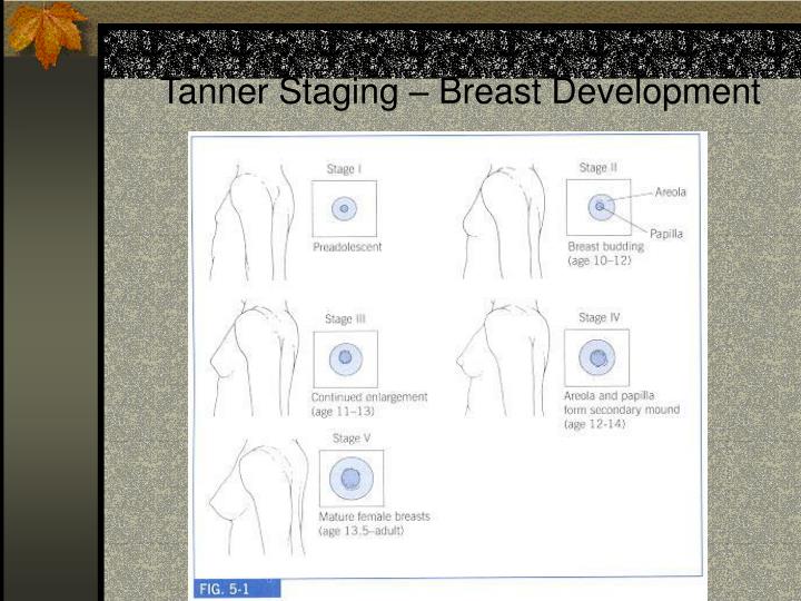 PPT - Delayed Puberty Topics in Adolescent Gynecology PowerPoint Presentation - ID:148905