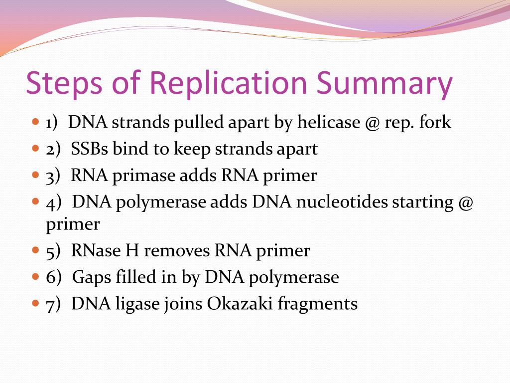 PPT - DNA: Structure, Function, and Replication Explained PowerPoint ...