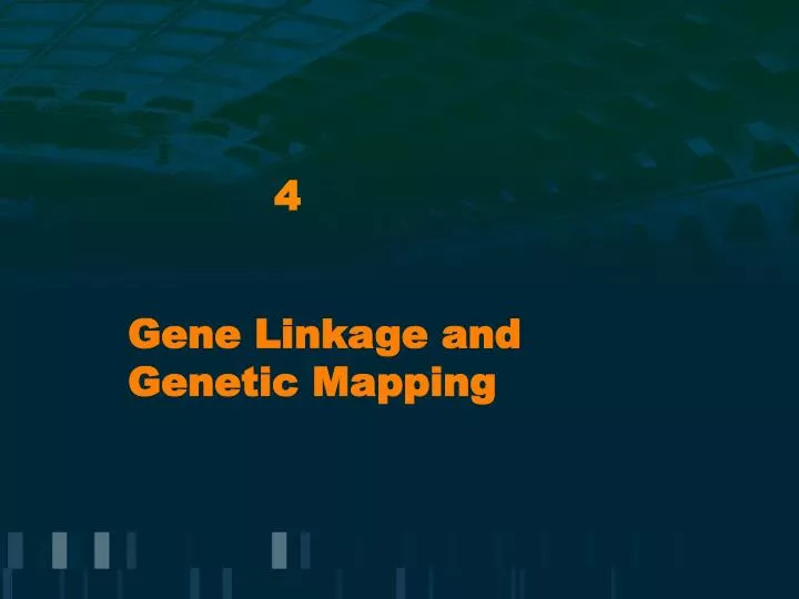 PPT - Gene Linkage and Genetic Mapping PowerPoint Presentation, free ...
