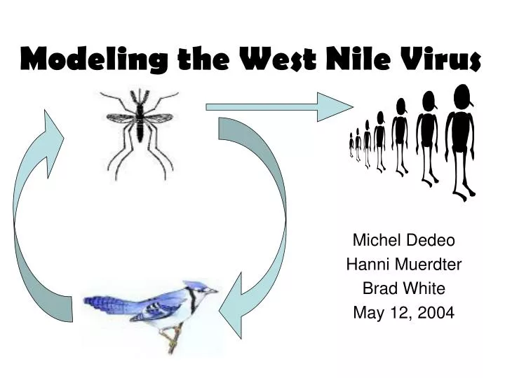 PPT - Modeling the West Nile Virus PowerPoint Presentation, free ...