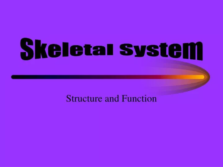 PPT - Structure and Function PowerPoint Presentation, free download ...