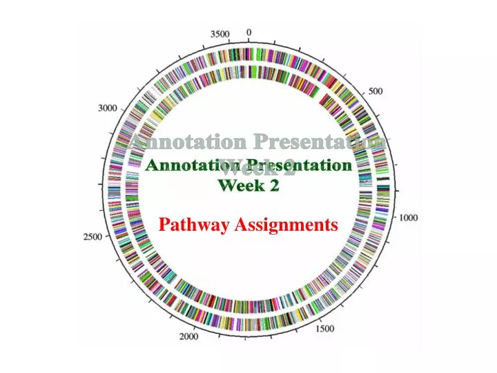 PPT - Annotation Presentation Week 2 PowerPoint Presentation, free ...