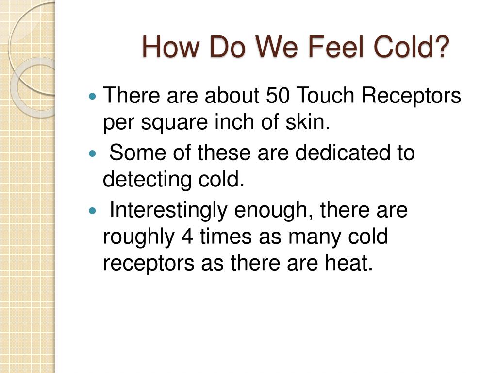 PPT - Pain: Brain Responses and Nerve Disorders PowerPoint Presentation ...