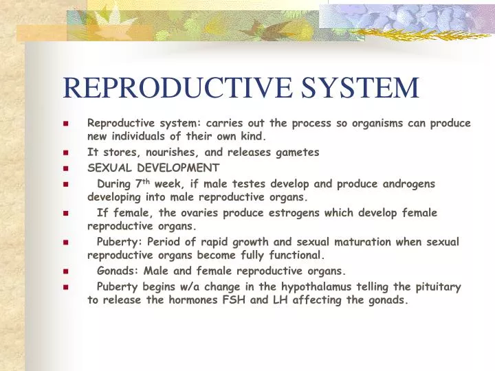 Ppt Reproductive System Powerpoint Presentation Free Download Id
