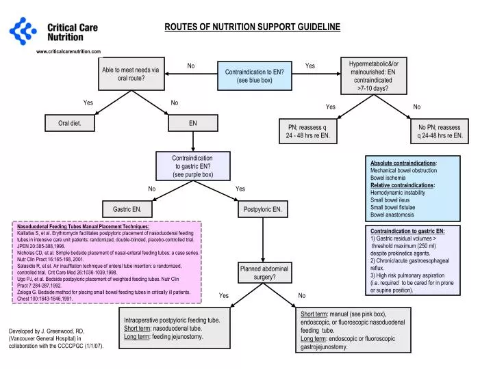 PPT - ROUTES OF NUTRITION SUPPORT GUIDELINE PowerPoint Presentation ...