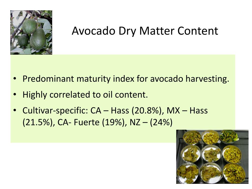 PPT - Quality of Hawaii’s Avocados Moving towards import replacement ...