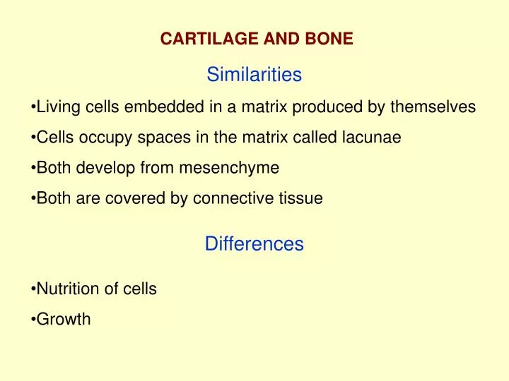 PPT - CARTILAGE AND BONE PowerPoint Presentation, free download - ID ...