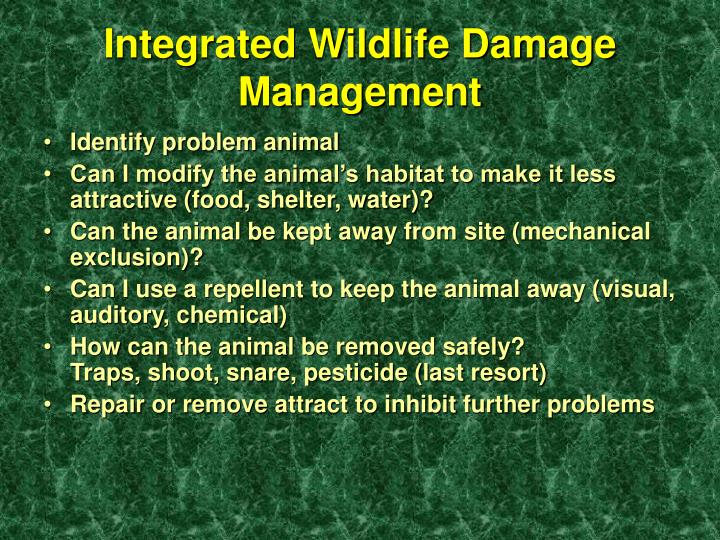 PPT - Integrated Wildlife Damage Management For Homeowners PowerPoint ...