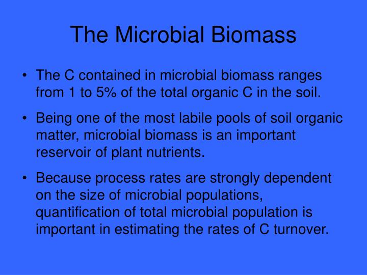 PPT - Soil Organic Matter PowerPoint Presentation - ID:149253
