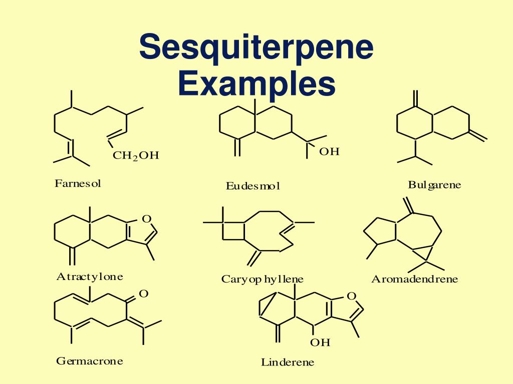 PPT - Terpenes Alkaloids Pheromones Antibiotics PowerPoint Presentation ...
