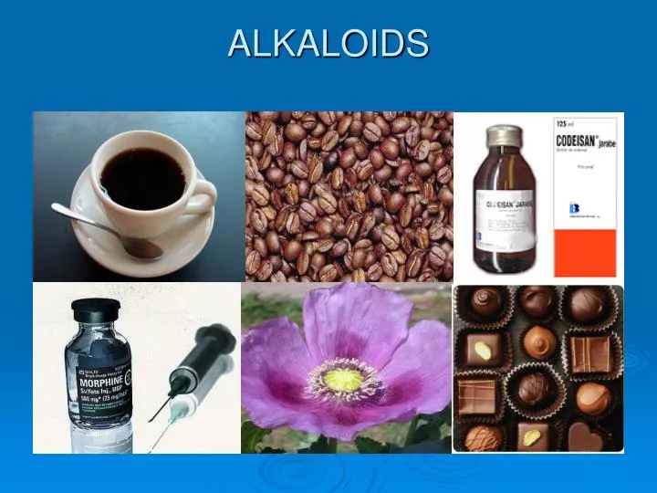 PPT - ALKALOIDS PowerPoint Presentation, free download - ID:149540