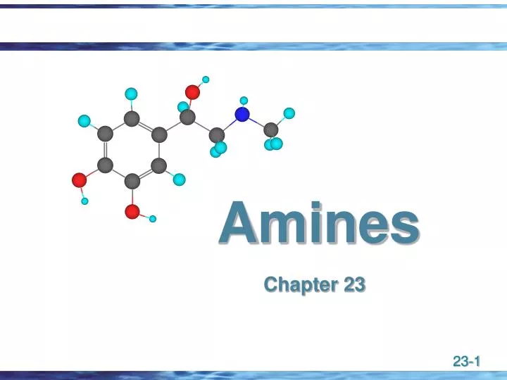 PPT - Amines PowerPoint Presentation, free download - ID:149830