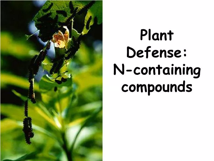 PPT - Plant Defense: N-containing compounds PowerPoint Presentation ...
